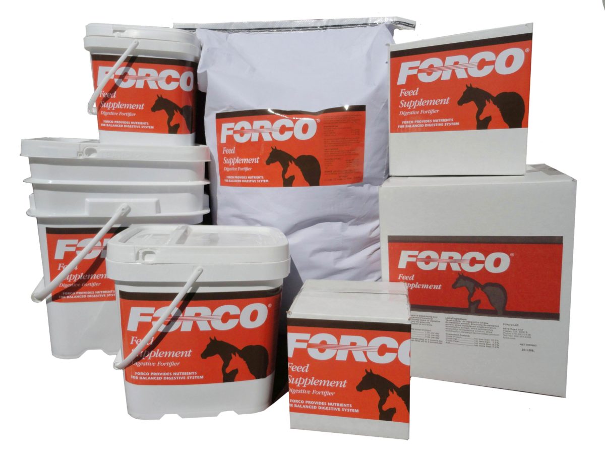 Horse Feed Supplements for Denver, CO